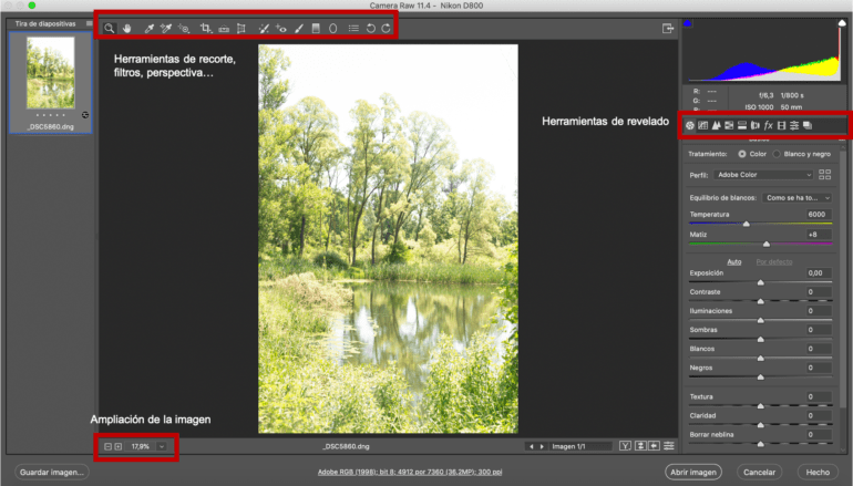 Cómo hacer un revelado básico en Camera Raw | Blog del Fotógrafo Cómo hacer un revelado básico en Camera Raw | Blog del Fotógrafo